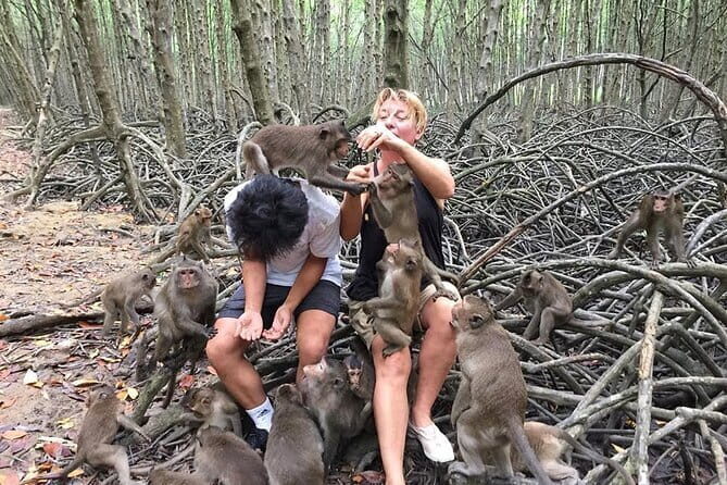 Can Gio Mangrove Tour and Monkey Island Tour - An In-Depth Look at the Can Gio Mangrove and Monkey Island Tour