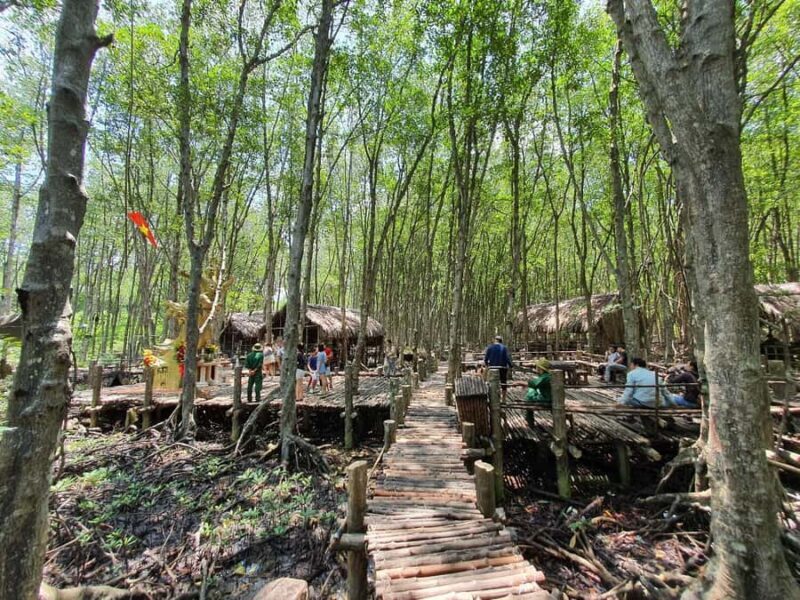 Can Gio: Monkey Island, Guerilla Camp, Mangrove Forest - Key Points