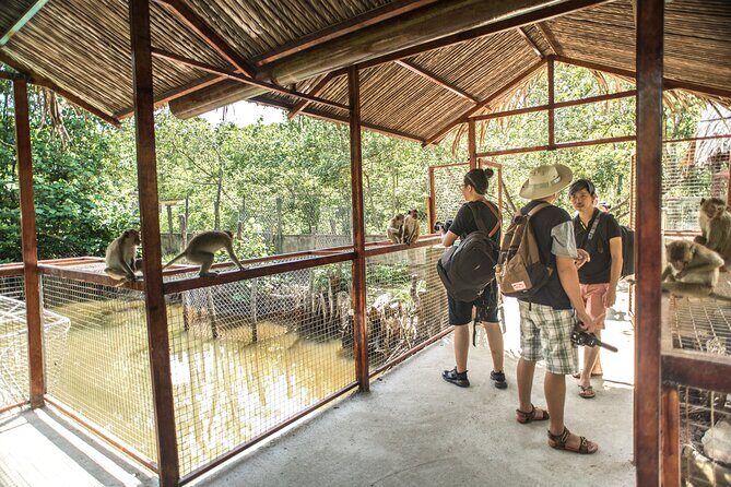 Can Gio - Vam Sat Mangrove Tour Forest - Final Thoughts