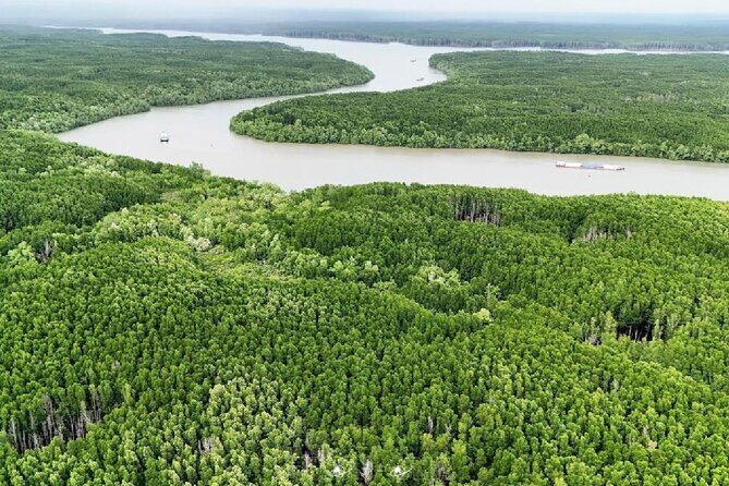 Can Gio Wildlife & Culture Experience Scenic Boat Tour - Introduction