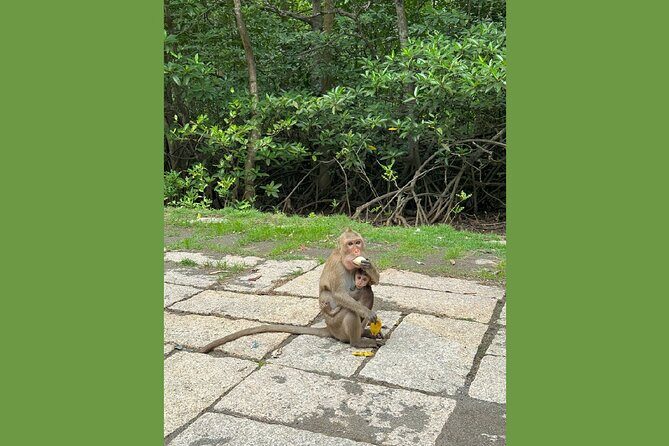 Can Gio Wildlife & Culture Experience Scenic Boat Tour - Practical Tips and Considerations