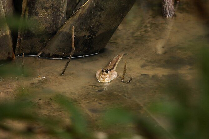 Can Gio Wildlife & Culture Experience Scenic Boat Tour - FAQ