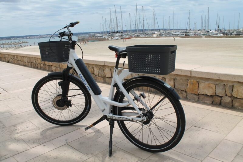 Can Pastilla: E-Bike Rental - Who Will Love This Experience?