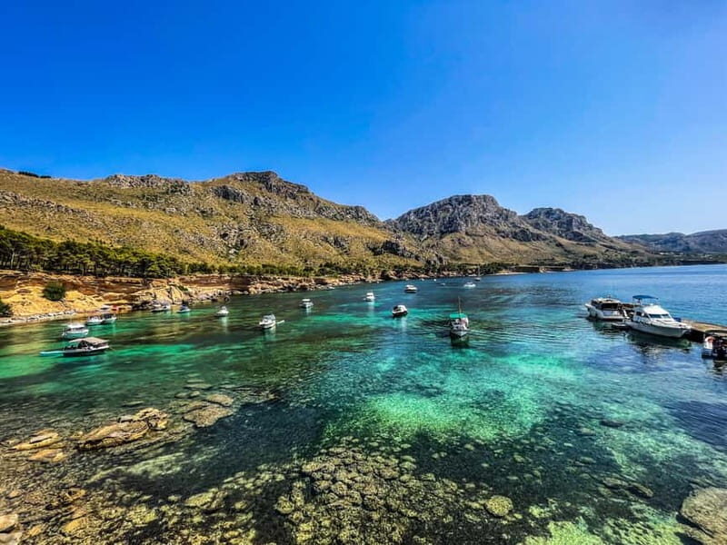 Can Picafort: 2h Private Boat Ride  Swim, Snorkel & Relax - Authentic Experiences and Traveler Feedback