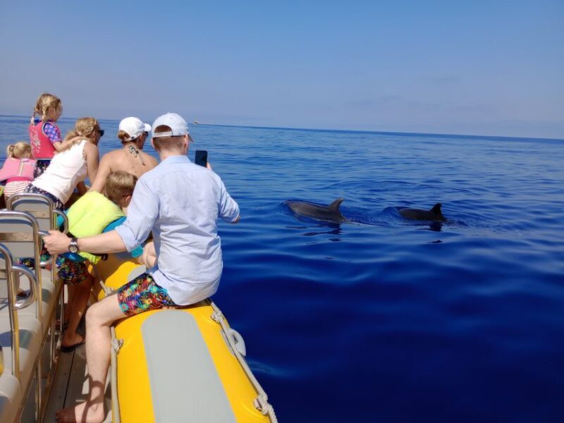Can Picafort: Dolphin Watching Boat Tour with Swimming - A Glimpse into the Can Picafort Dolphin Watching Boat Tour