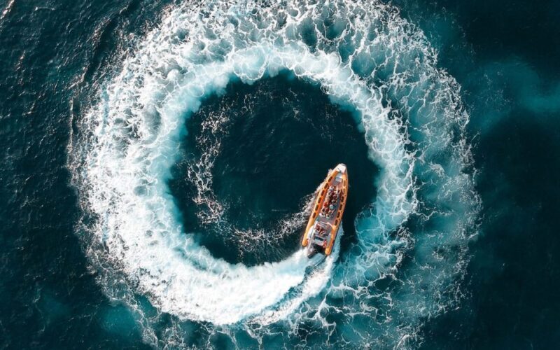 Can Picafort: Dolphin Watching Boat Tour with Swimming - Who Will Love This Tour?