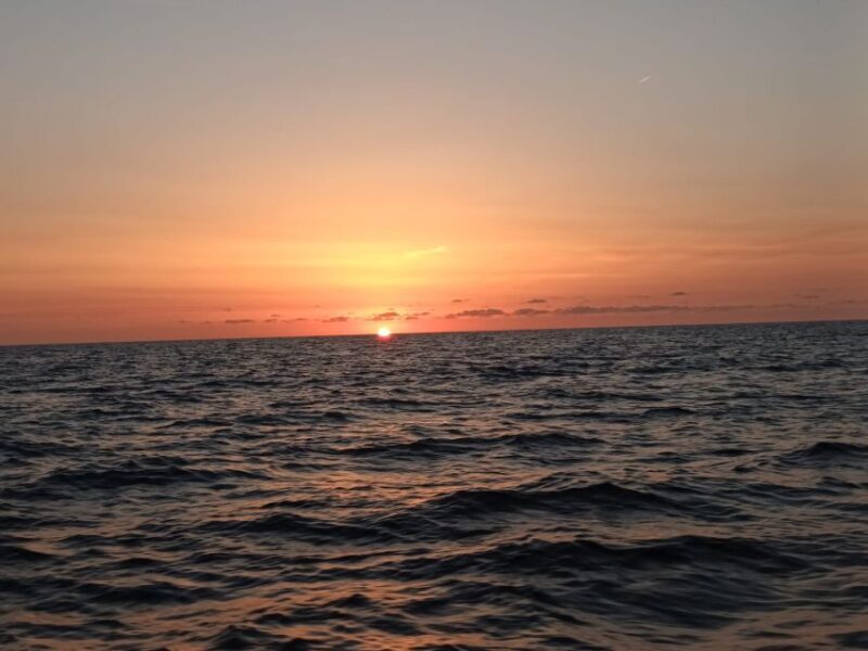 Can Picafort: Dolphin Watching Boat Tour with Swimming - Practical Tips for Your Trip