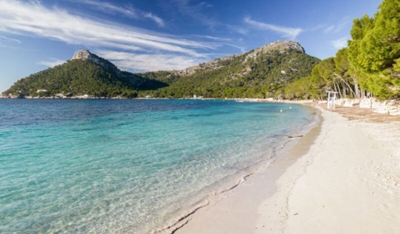 Can Picafort or Alcudia: FORMENTOR BEACH - The Details—Price, Duration, and Comfort
