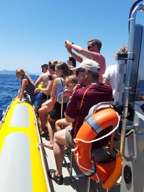 Can Picafort or Alcudia: Private boat dolphin watching - An In-depth Look at What You Can Expect