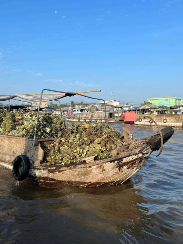Can Tho: Cai Rang Floating Market and Canals - The Journey Through Can Tho’s Floating World