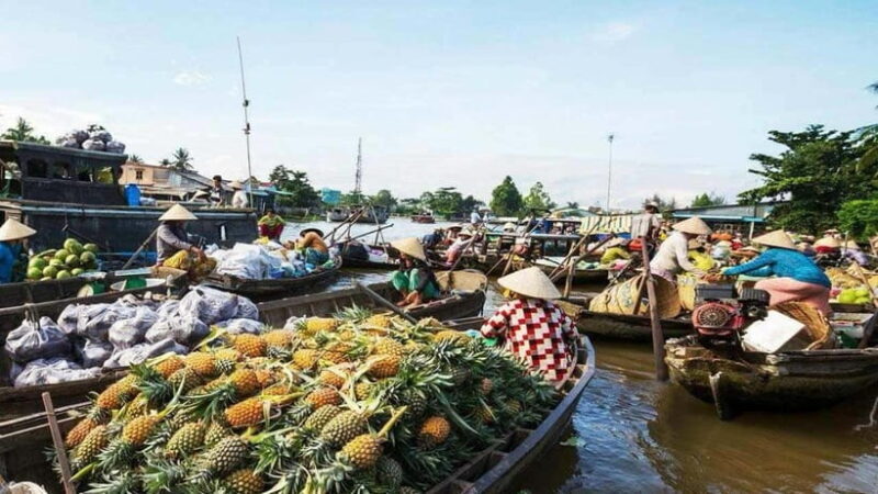 Can Tho: Cai Rang Floating Market and Canals - Summary: Who Is This Tour For?