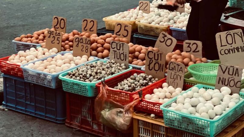 Can Tho: Cooking Class - Flavors of the Delta - What to Expect on the Day