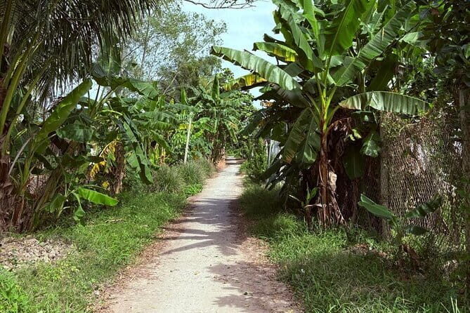 Can Tho Countryside Bike Tour with Fruit Garden Visit - An Honest Dive into the Can Tho Countryside Bike Tour