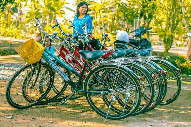 Can Tho: Cycling in Village-Fruit Garden-Experience Local Ferry - Who Will Love This Tour?