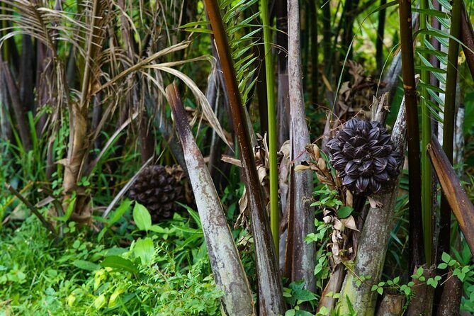 Can Tho Floating Market and Fruit Garden Tour - FAQs