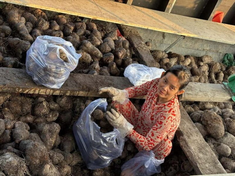 Can Tho: Floating Market, Cacao & Canals with French Guide - FAQ