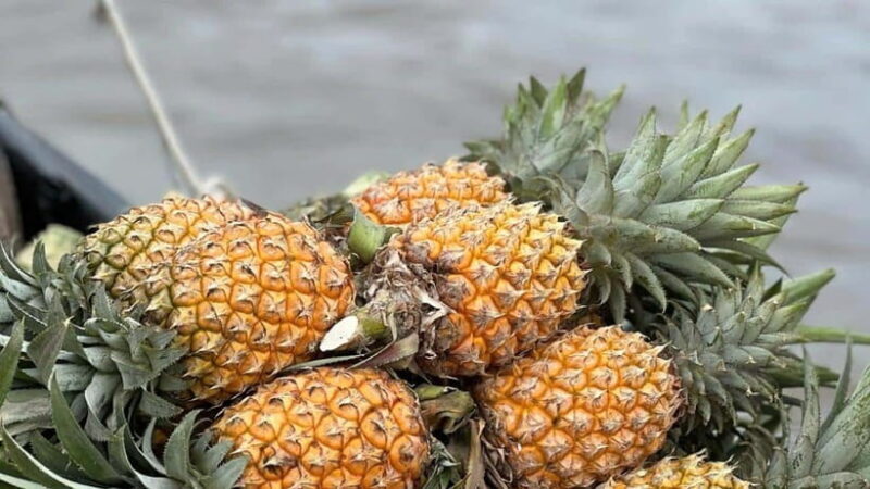 Can Tho: Floating Market explore local life, Mekong farm - Authentic Experiences and Cultural Insights
