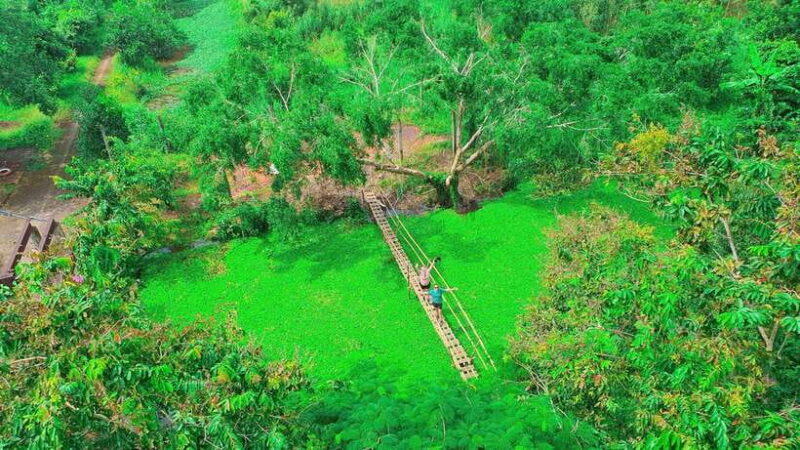 Can Tho: Floating Market & Lung Ngoc Hoang Nature Reserve - Who Will Enjoy This Tour?