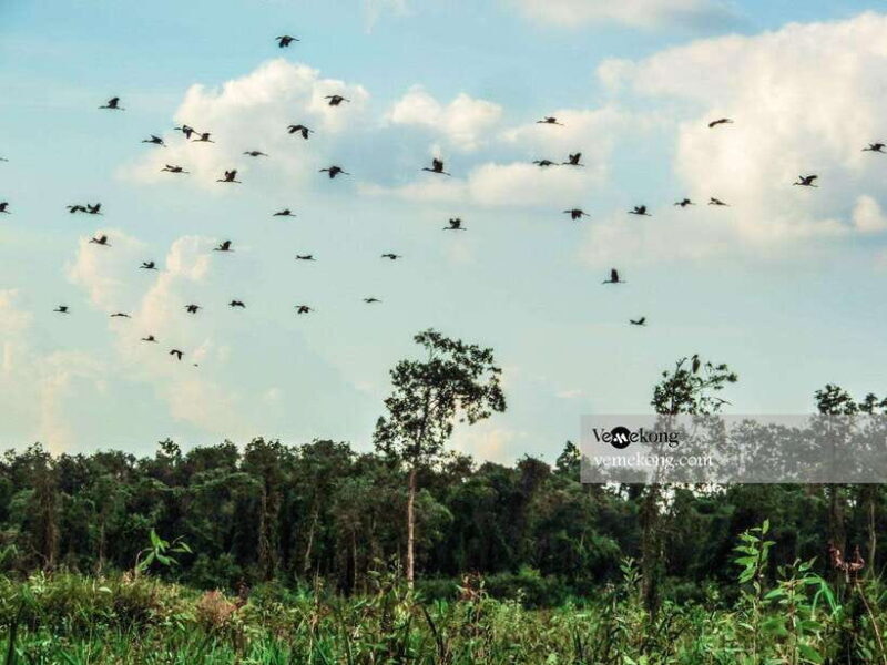 Can Tho: Lung Ngoc Hoang Forest Nature Reserve Half-Day Tour - Who Would Love This Tour?