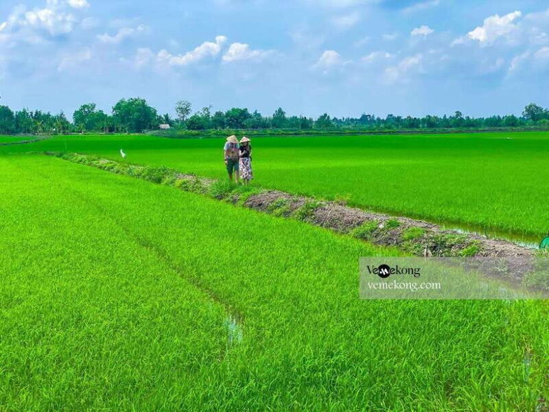 Can Tho: Lung Ngoc Hoang Forest Nature Reserve Half-Day Tour - FAQs