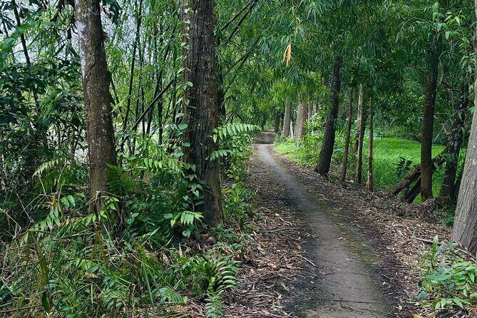 Can Tho: Lung Ngoc Hoang Nature Reserve & Hidden Forests - Final Thoughts: Why This Tour Offers Genuine Value