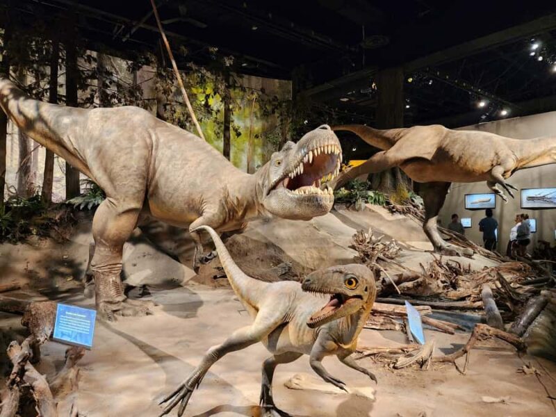 Canadian Badlands Private Tour - A Detailed Look at the Itinerary and Experience