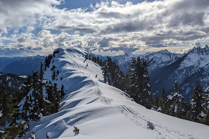 Canadian Rockies Summer Private Tour - Why This Tour Is a Great Choice