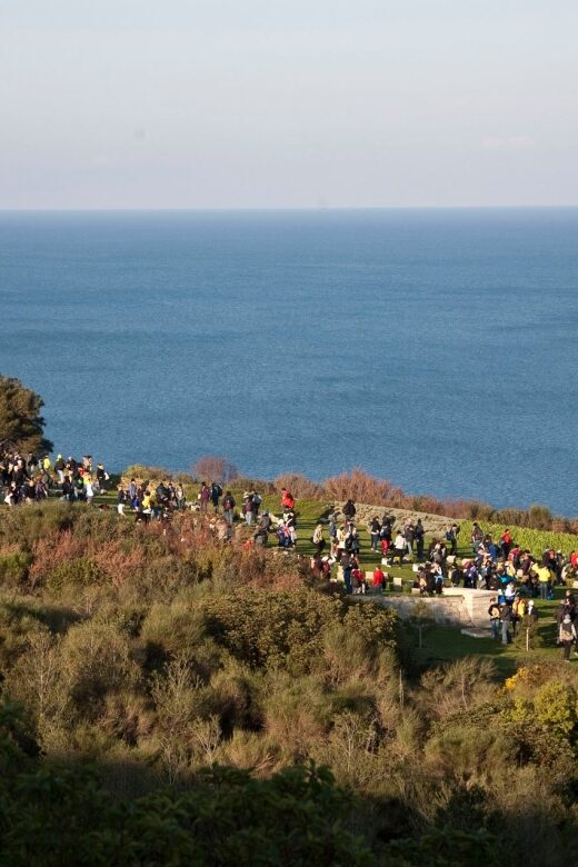Canakkale: 6-Hour Gallipoli Tour with Lunch - The Sum Up