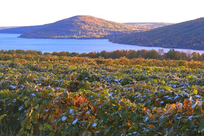 Canandaigua Wine Trail Experience - Why This Tour Offers Real Value