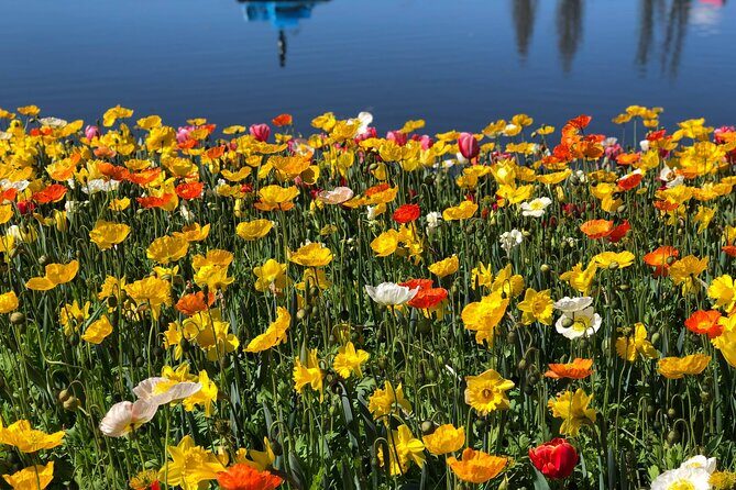 Canberra Floriade Tour - Exploring the Canberra Floriade Tour: A Blooming Day Out