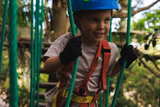 Canberra Junior Tree Ropes Course - An Insider’s Look at Canberra’s Junior Tree Ropes Course