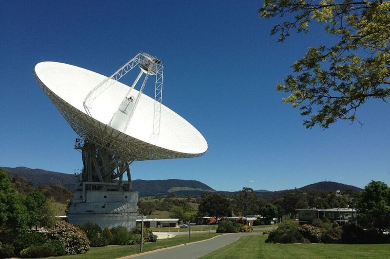 Canberra: Kangaroos and Koala Experience Tour - Key Points
