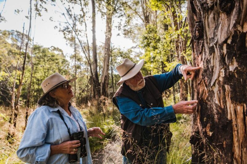 Canberra: Kangaroos and Koala Experience Tour - Authentic Encounters & Real-Life Experiences