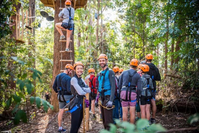 Canberra: Majura Pines Tree Ropes Course - Authentic Experiences from Reviewers