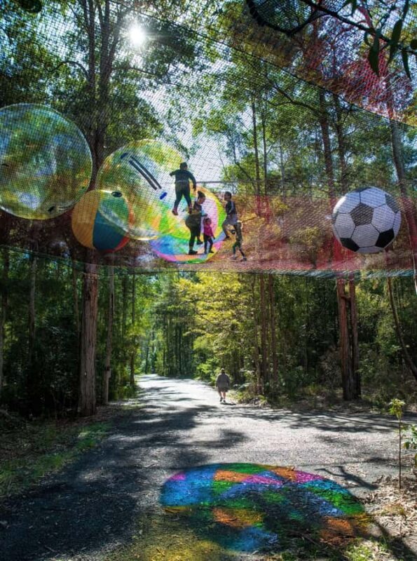 Canberra: Networld Treetop Adventure - Key Points