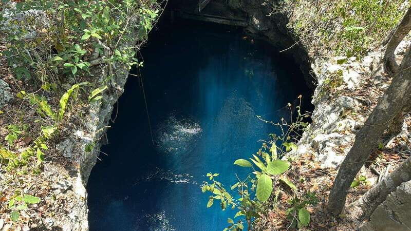 Cancun 2 Cenote Dives: The Pit & Dos Ojos - Certified Divers - What to Expect: An Honest Look at the Experience