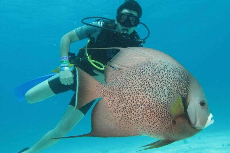 Cancún: 2-Day PADI Open Water Diving Course - FAQ