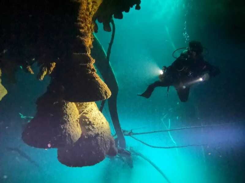 Cancun: 2 Dives in Cenotes Ki Ha + Zapote - Certified Divers - How This Tour Compares to Other Cancun Experiences