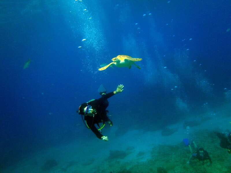 Cancun: 2-Tank Dive for Beginners with MUSA and Reef Dive - Key Points