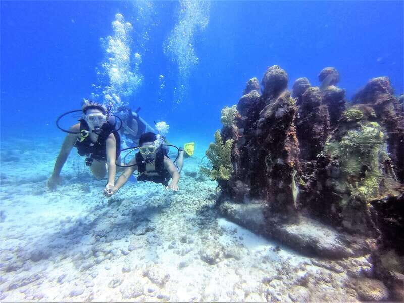 Cancun: 2-Tank Dive for Beginners with MUSA and Reef Dive - What Travelers Should Know