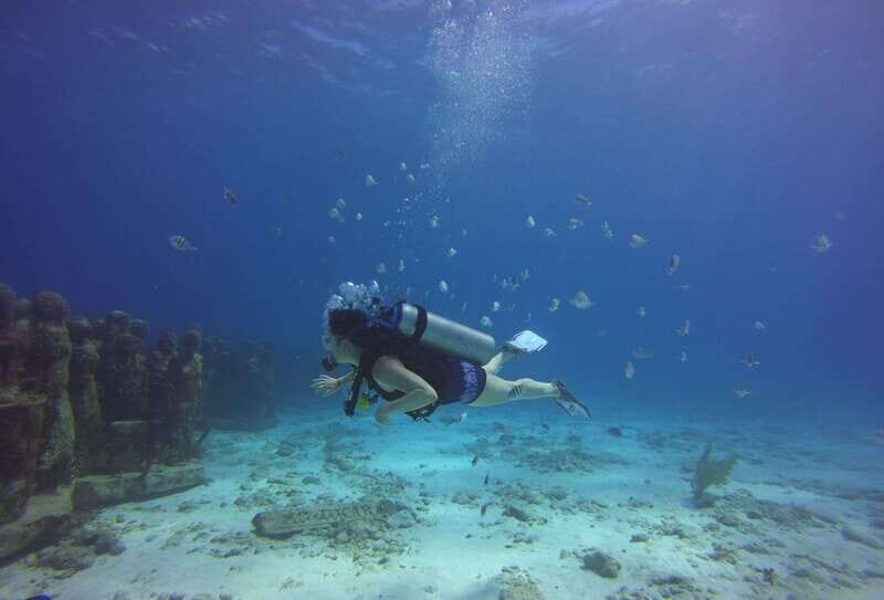 Cancun: 2-Tank Dive for Beginners with MUSA and Reef Dive - Final Thoughts: Who Will Love This Tour?