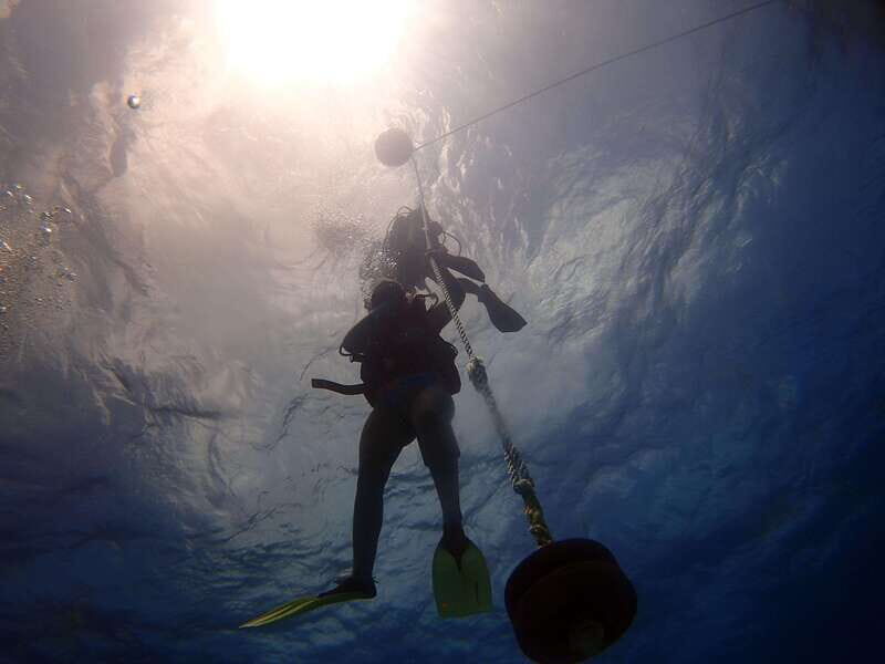Cancun: 2-Tank Dive for Beginners with MUSA and Reef Dive - FAQ