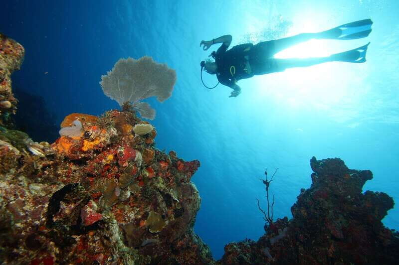 CANCUN: 2T REEF DIVES FOR CERTIFIED DIVERS - Final Thoughts