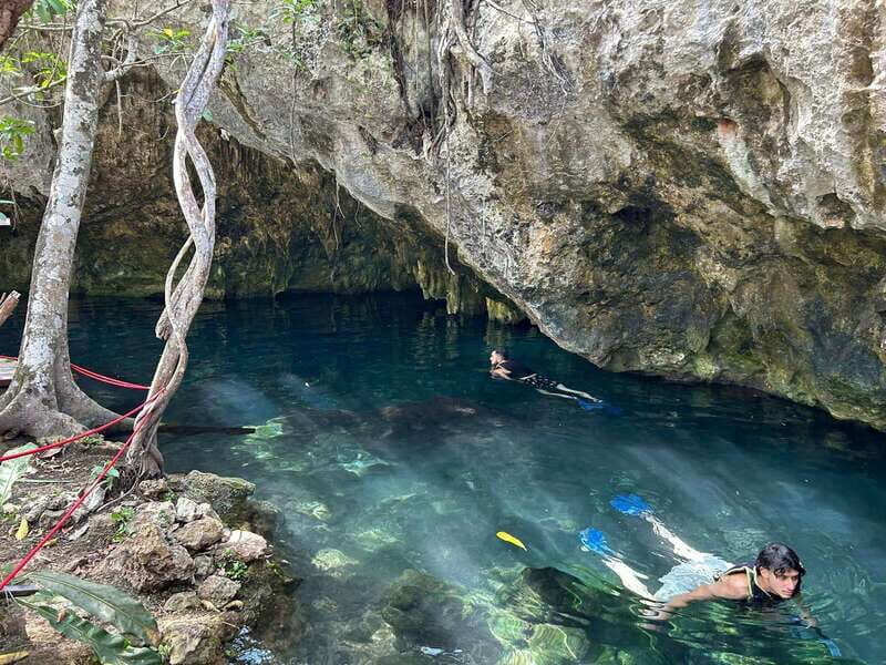 Cancun: 3 Cenotes & 1 Lagoon Tour - Practical Tips