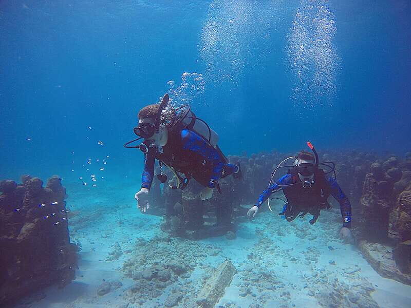 Cancun: 3 Days SDI Open Water Diver Certification - Introduction: A Clear Path to Your Underwater Adventure
