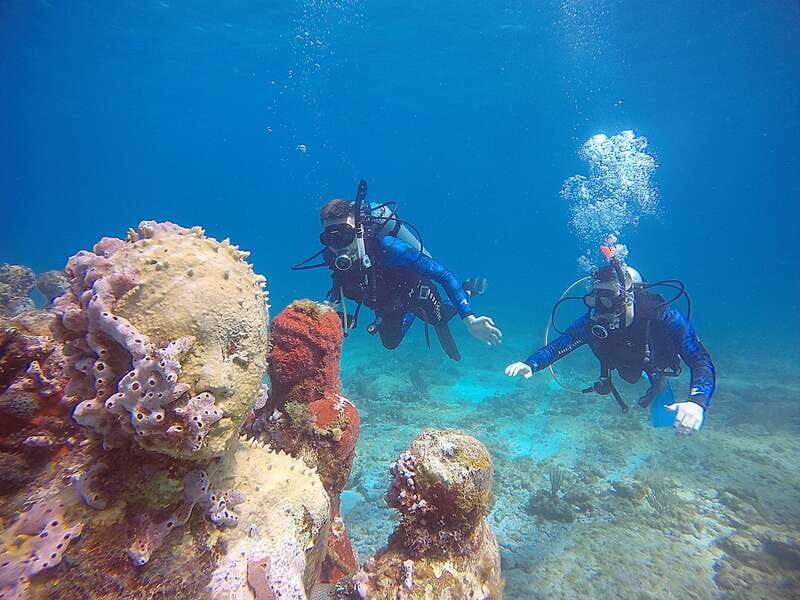Cancun: 3 Days SDI Open Water Diver Certification - What’s Included and What’s Not