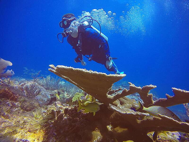 Cancun: 3 Days SDI Open Water Diver Certification - The Experience at the Meeting Point and in the Water