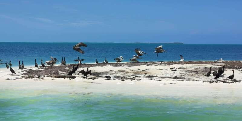 Cancun: 3 Islands Snorkel Adventure - What Travelers Are Saying