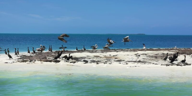 Cancun: 3 Islands Snorkel Adventure - Why Choose This Tour?