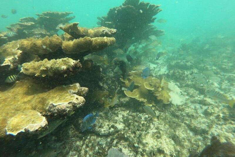 Cancun: 3 Islands Snorkel Adventure - FAQ